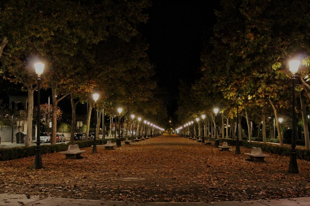 The Environmental Impact of LED Lighting for Businesses – LightUp
